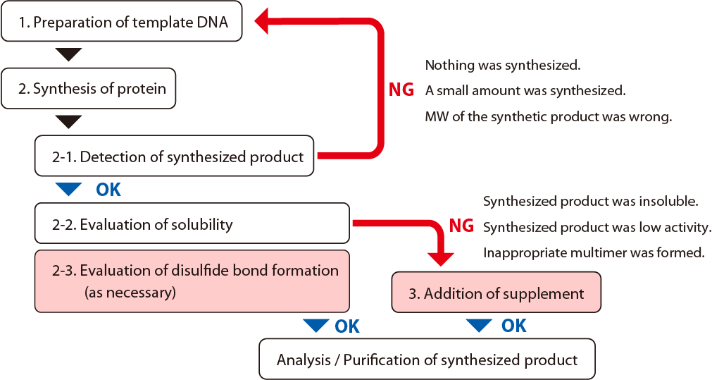 DsbC Set | PUREfrex® | GeneFrontier Corporation