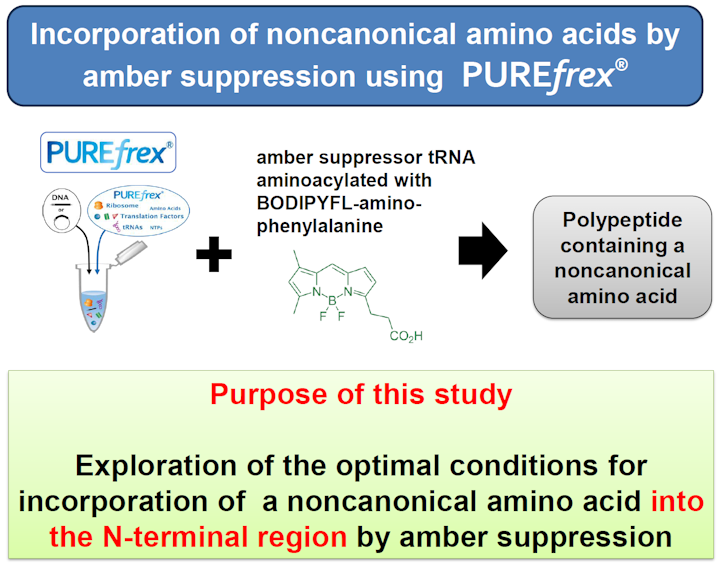 【Poster_MBSJ 2024】 Exploration of optimal conditions for the ...